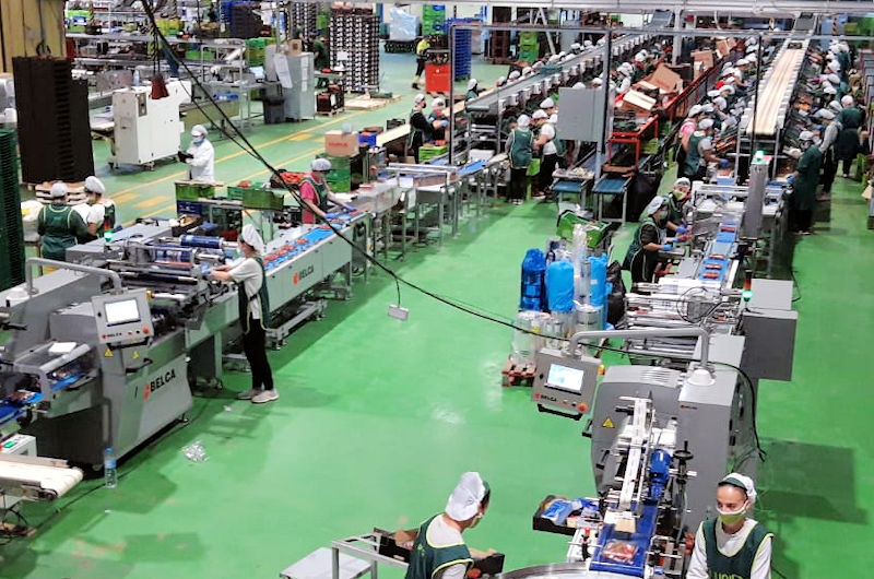 Packaging systems for Food and Industrial Sectors. - BELCA
